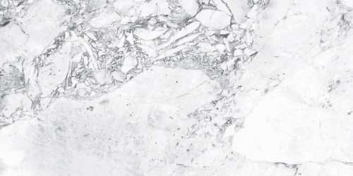 Керамогранит Goldis Tile Forest 59.7x119.8 Forest White Semi Polished купить по цене 1250.00 Р ...